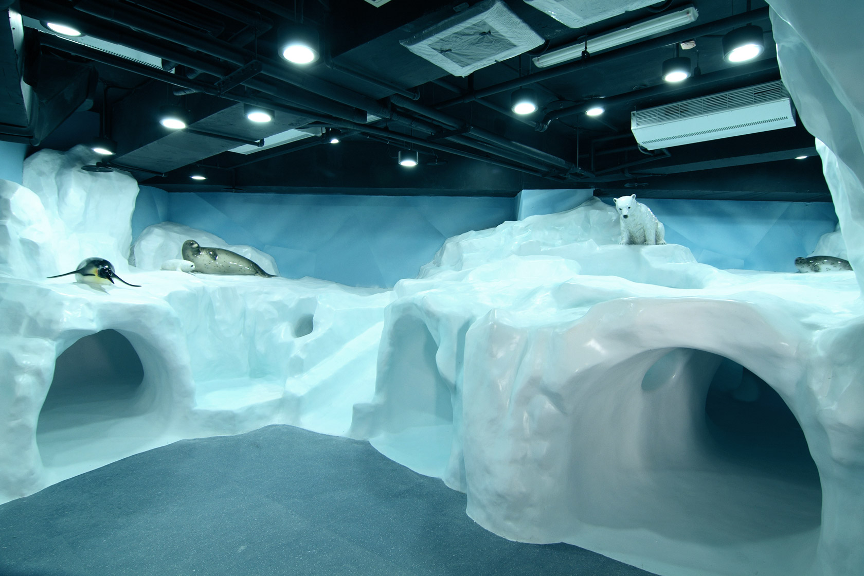 Seaweed maze and Polar Adventure