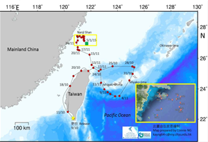 Satellite Tracking of Sea Turtles